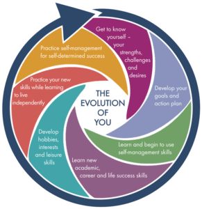 Program Curriculum Overview | Transitions