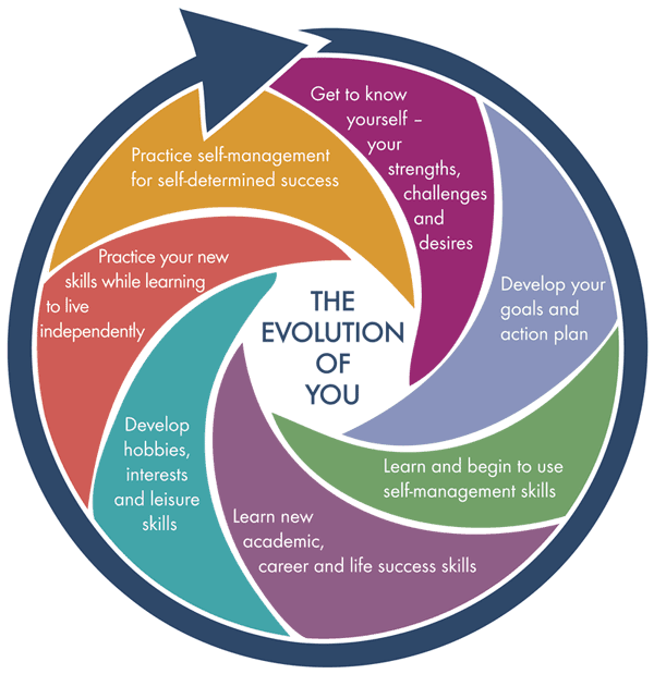 Program Curriculum Overview Transitions