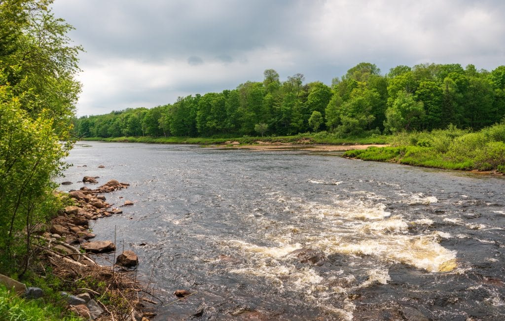 Transition Programs for Teens & Young Adults